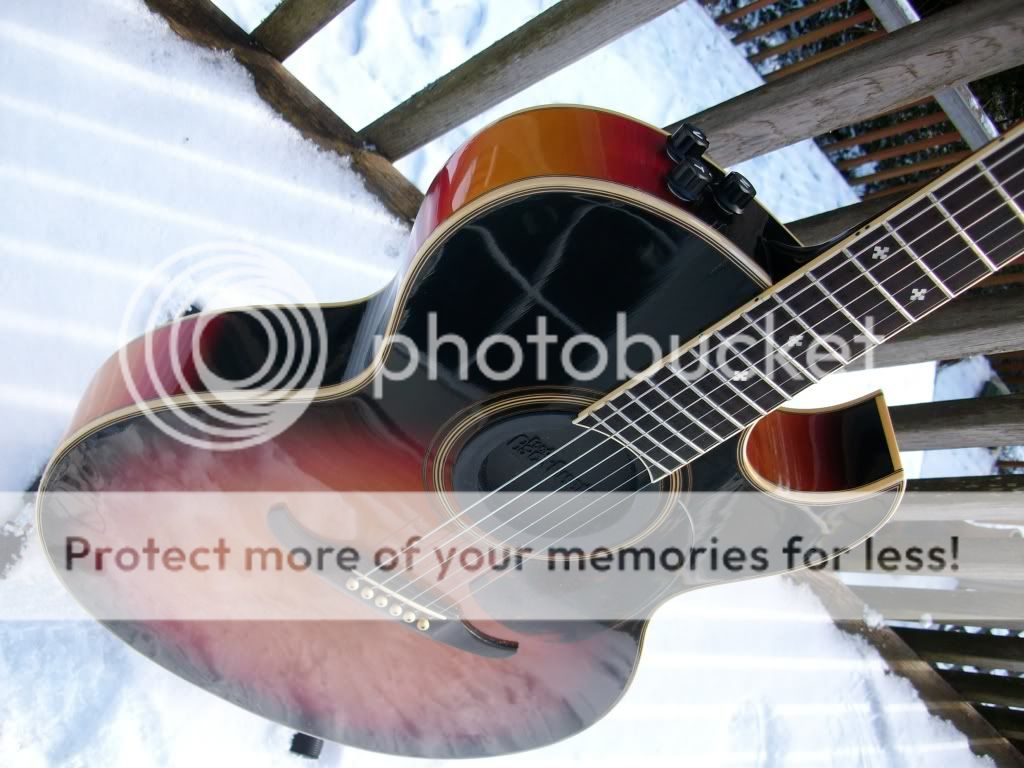 Fender El Rio on Craigslist - Nice Guitar | Telecaster Guitar Forum