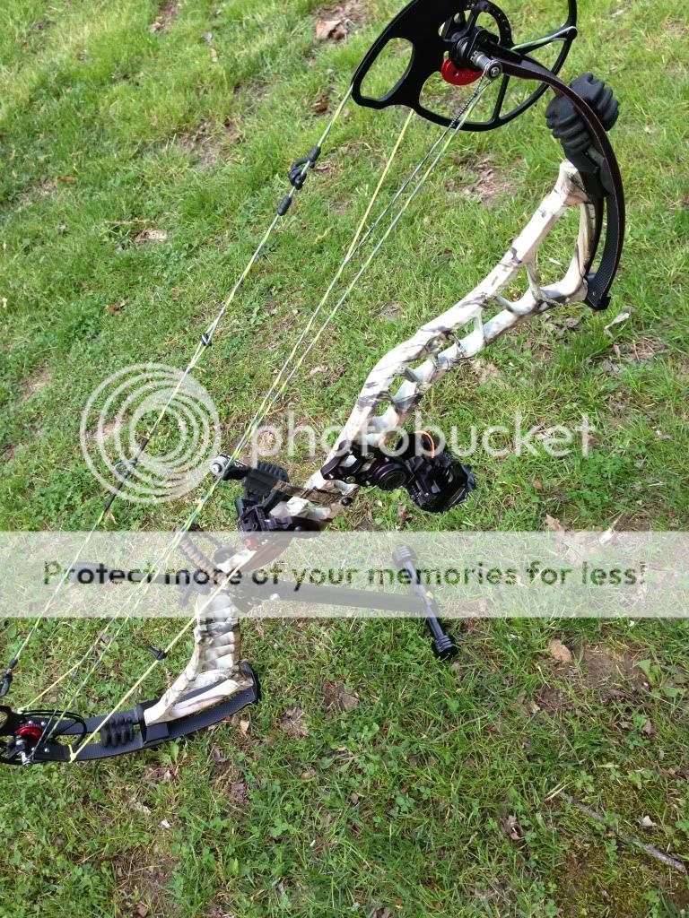 Bowtech Insanity, Invasion, or Experience pics! | Archery Talk Forum